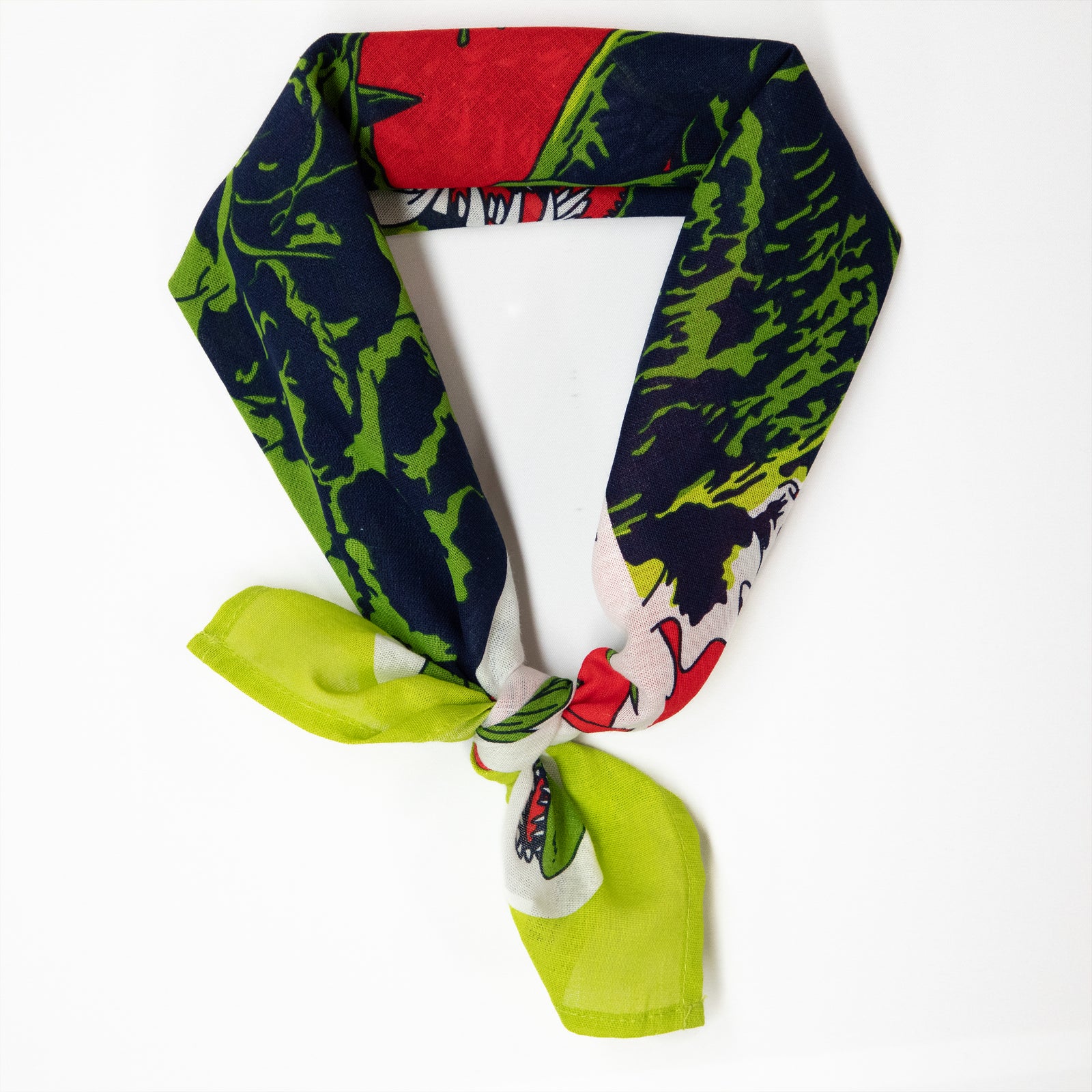 Bandanas – Middle of Beyond